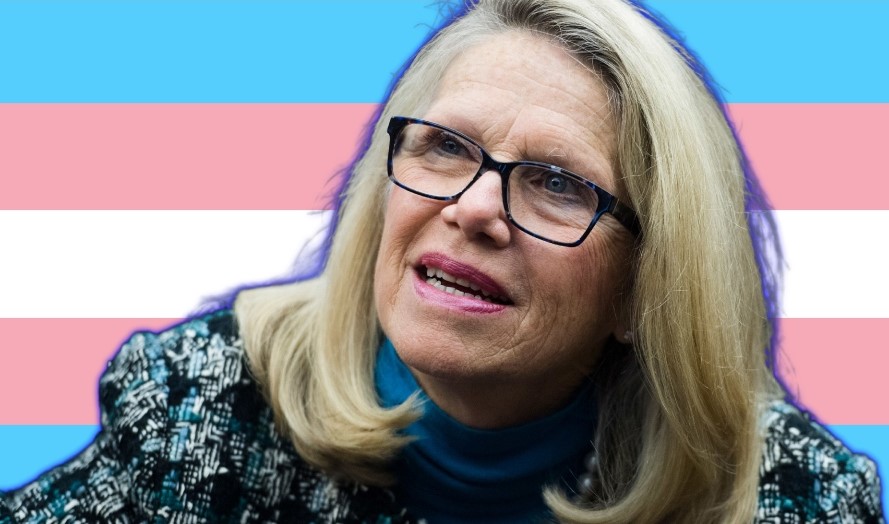 Carol Miller Voted to Fund Childhood Transgenderism, LGBT Groomers ...