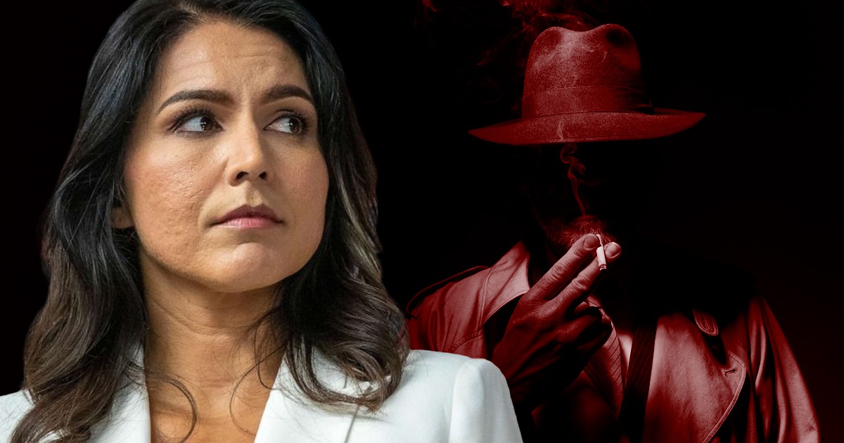 VIDEO: Tulsi Gabbard Calls Adam Schiff, John Brennan 'Domestic Enemies ...