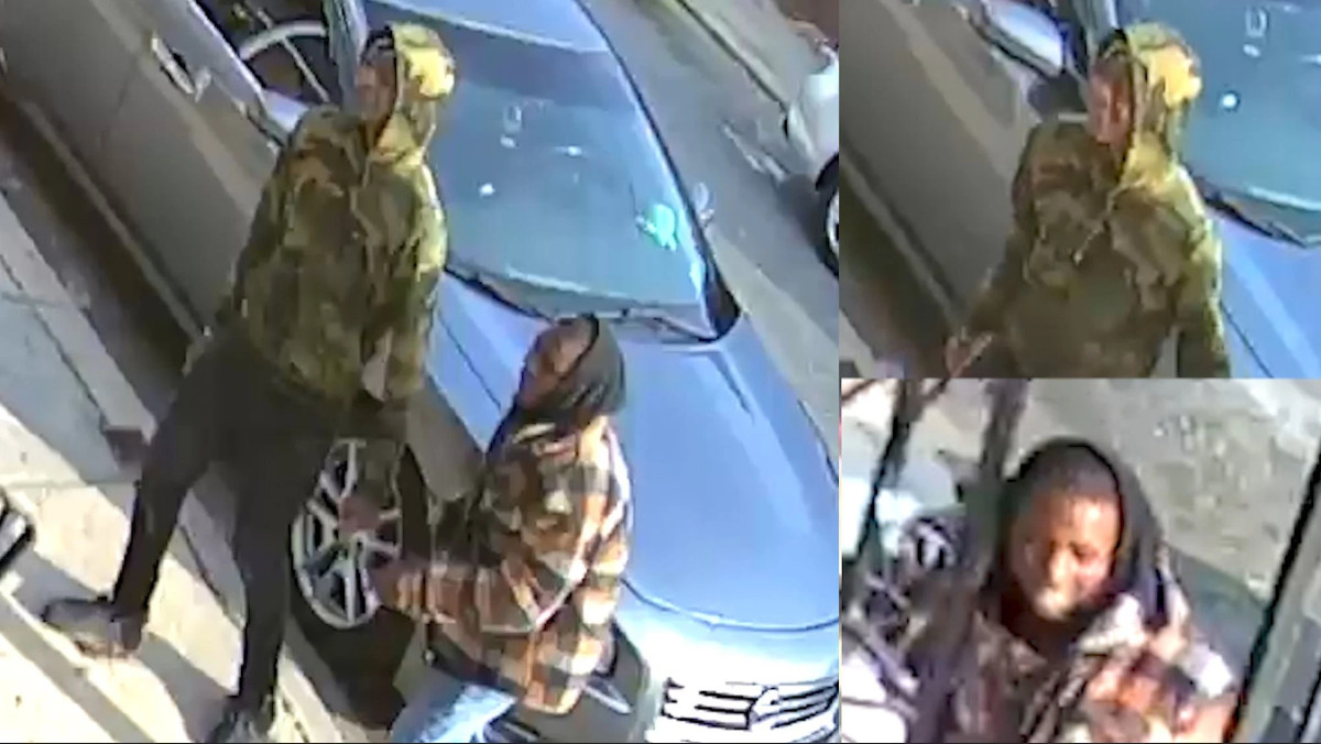 Philadelphia: Graphic Video Shows Two Men Siccing Pitbulls Family Cat ...